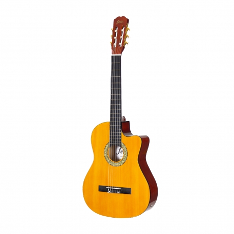 Guitars – Fenix Musical